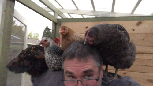 Valet de Poulet – Some Thoughts on Self-Care (Guest: Bill Cameron ...