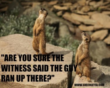 Questioning an Eyewitness: To Lead or Not to Lead? | Killzoneblog.com