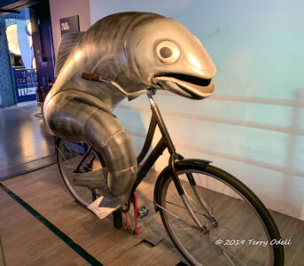 Tips for Distant Settings | Killzoneblog.com