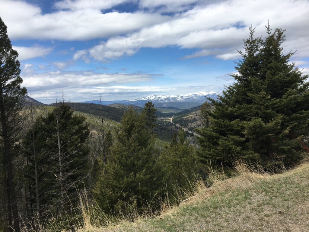 Rounding Up Writing Skills | Killzoneblog.com