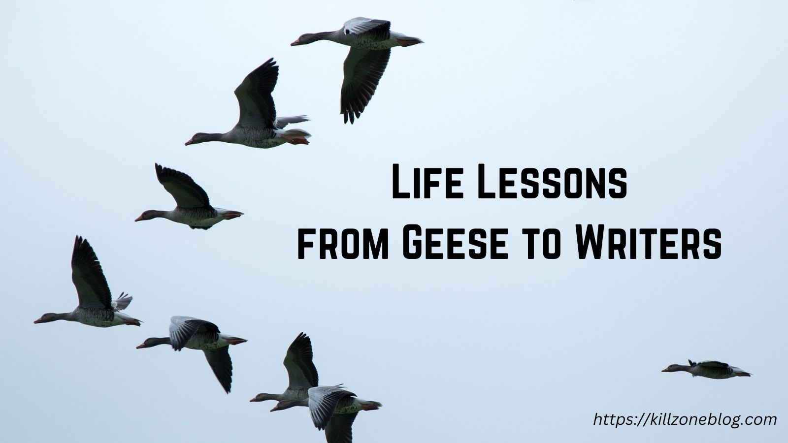 Life Lessons from Geese to Writers | Killzoneblog.com