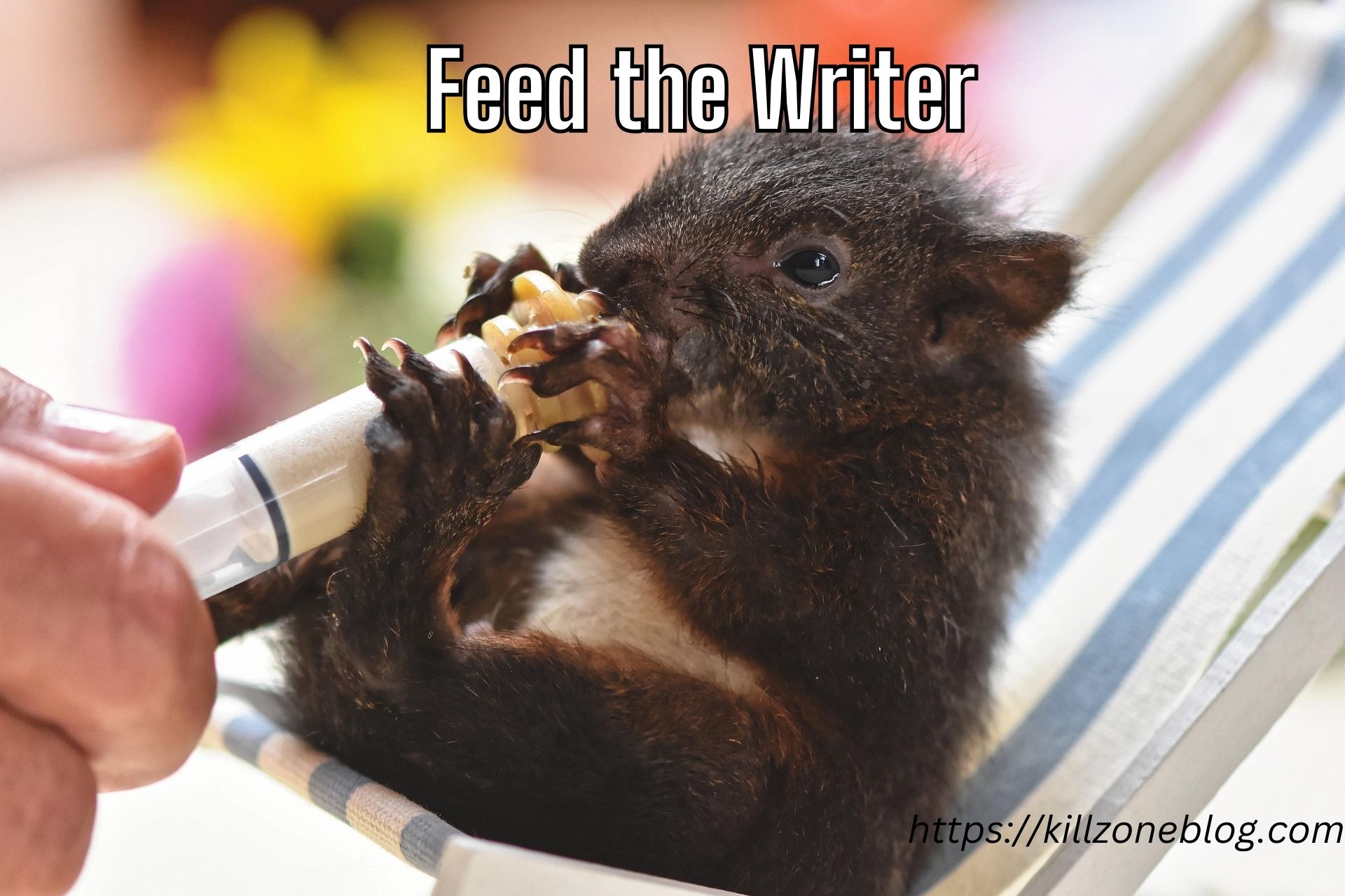 Feed The Writer | Killzoneblog.com